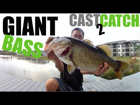 Quick Clip Huge 10lb Bass on Snag Proof Ish Frog | Westernbass.com