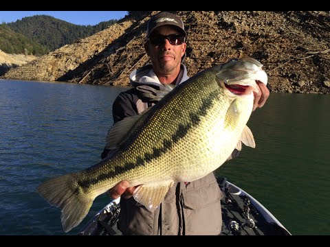 World Record Bass: Bailey Catches the Spot of a Lifetime | Westernbass.com